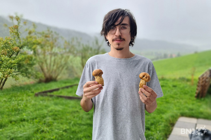 Page de vie : Nicolas Schwab - RJB votre radio régionale