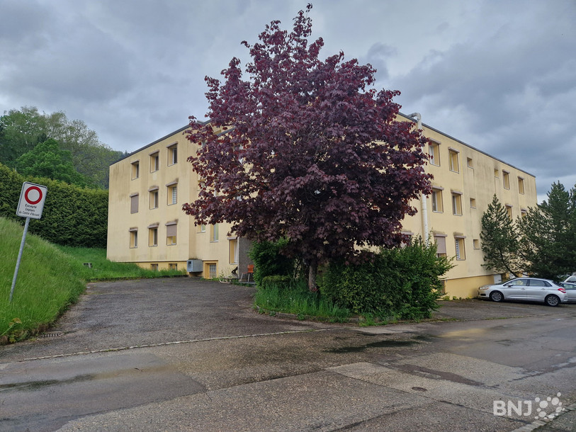 L’accueil des réfugiés mineurs non-accompagnés à Couvet au centre d’une ...