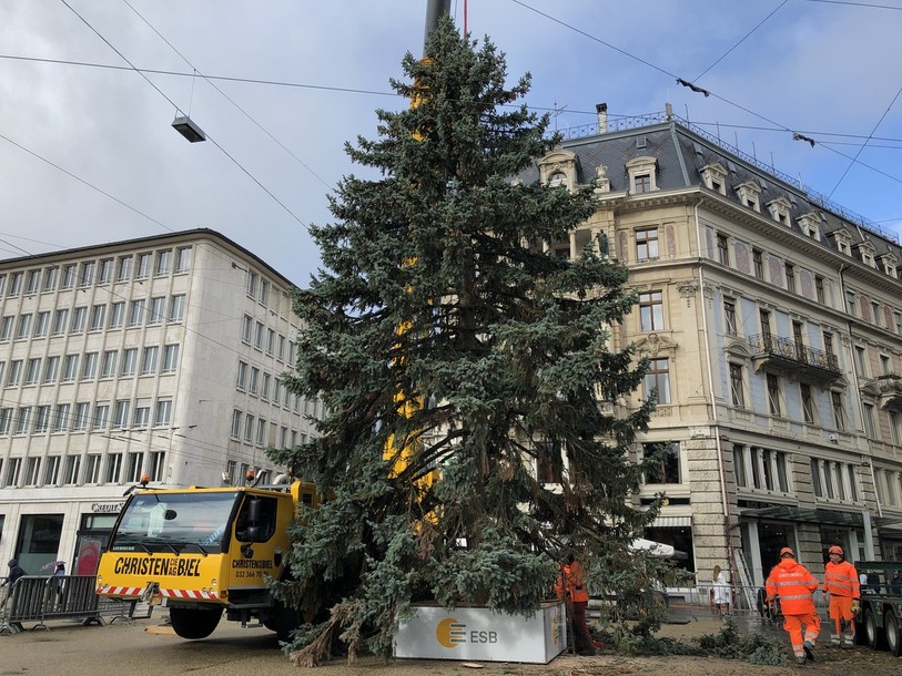 Un sapin de 12 mètres de haut pour le centre-ville de Bienne - RJB ...