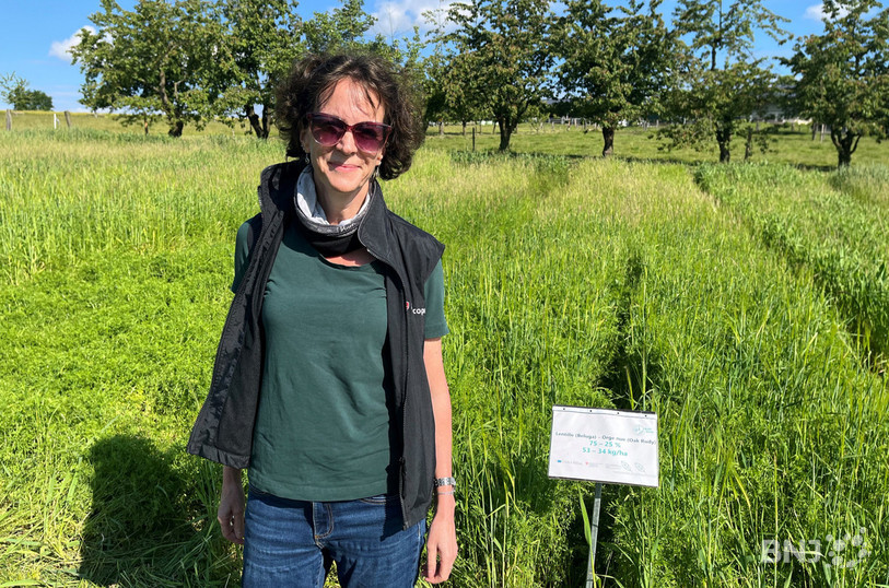 Un projet pour promouvoir des cultures sous-utilisées en Suisse - RTN ...