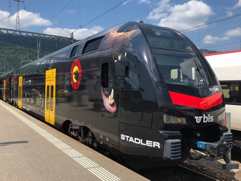 BLS assume son train aux couleurs du CP Berne - RTN votre radio régionale