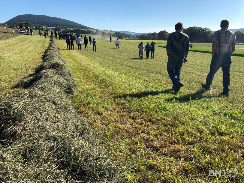 La luzerne, une solution pour le fourrage - RTN votre radio régionale