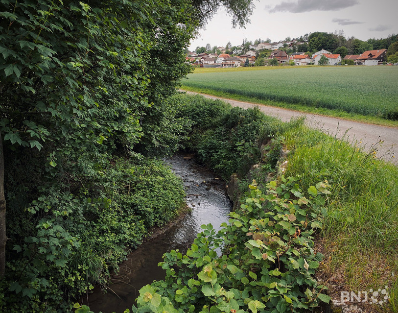 Develier ne veut plus avoir les pieds dans l’eau - RFJ votre radio ...