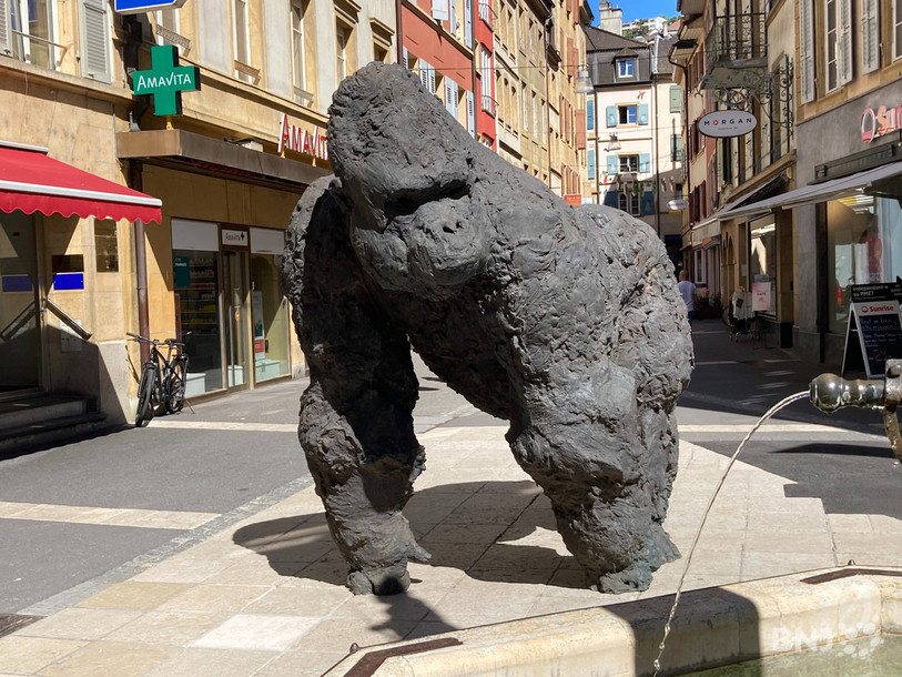 D’imposants primates investissent le centre-ville de Neuchâtel - RTN ...