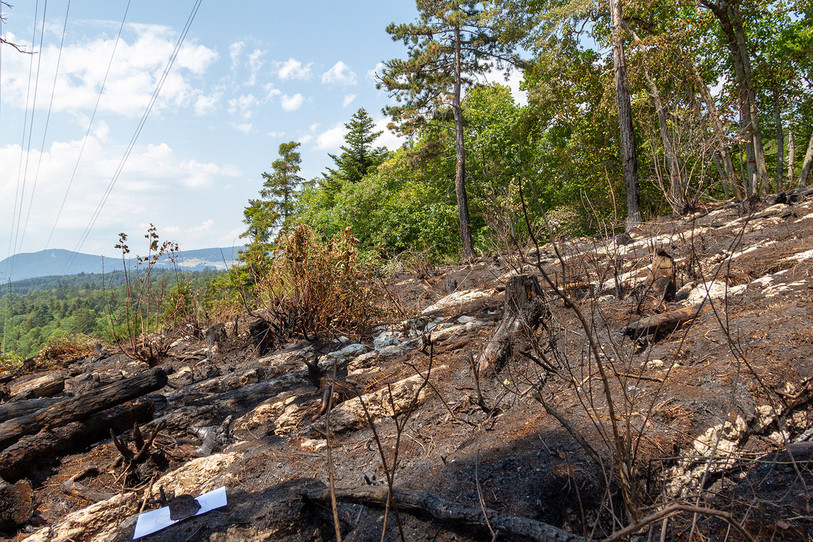 Prudence face aux feux de forêt - RTN votre radio régionale