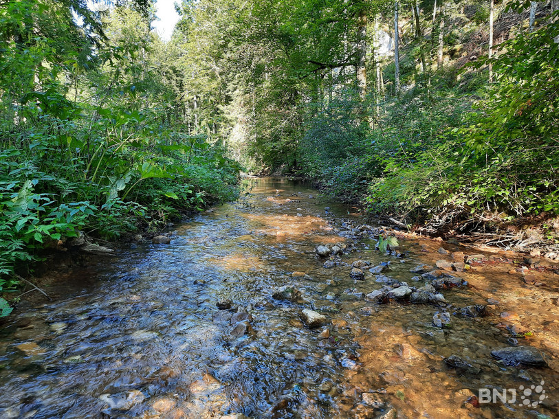 La demande de concession d’eau pour la géothermie officiellement ...
