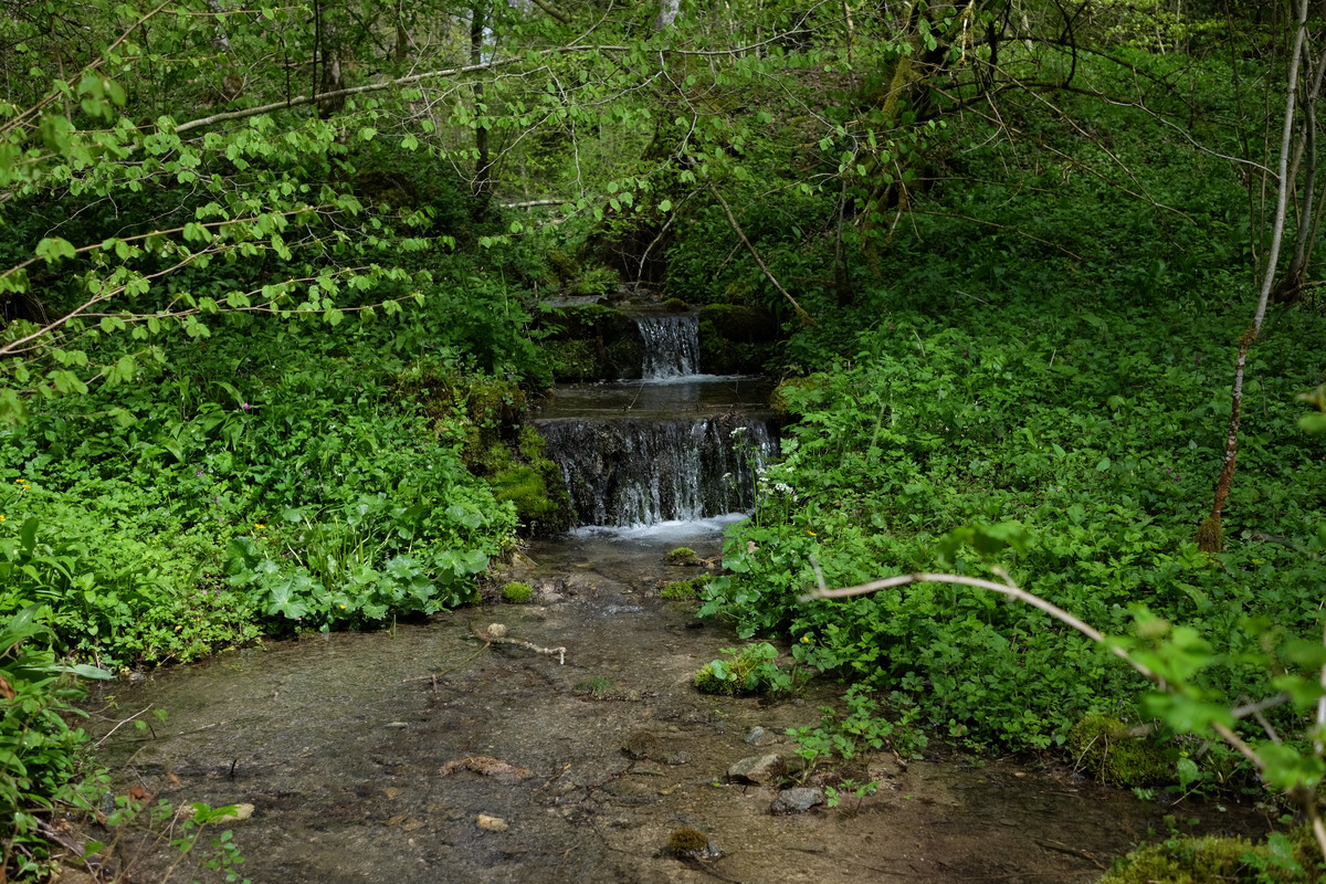 « File l’Allaine » suit les méandres du cours d’eau - RFJ votre radio régionale