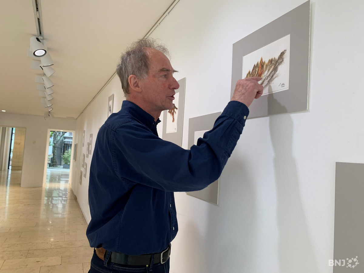 Les montagnes en quelques mots et coups de pinceaux - RFJ votre radio ...