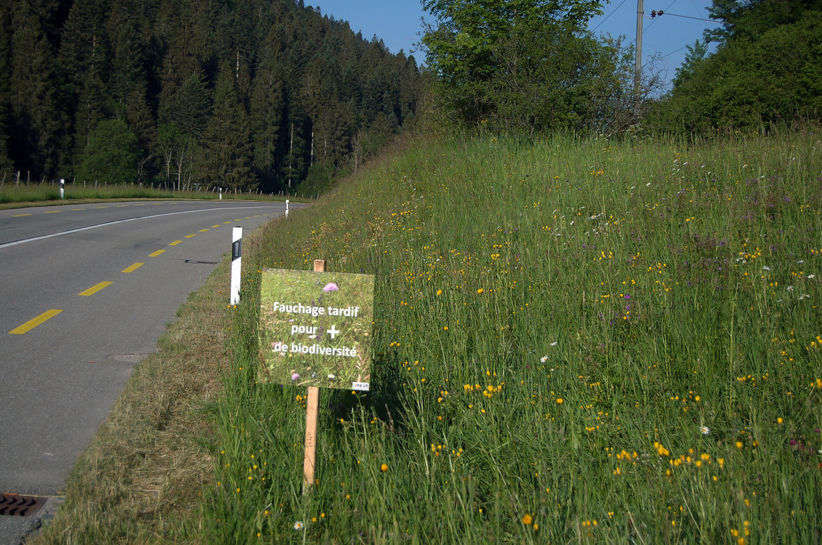 Des talus routiers plus naturels - RTN votre radio régionale