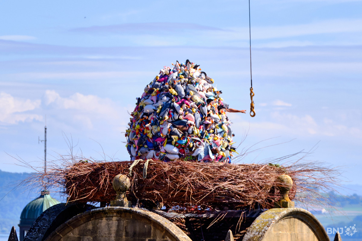 L'Aire de jeux avec Marc Ferrario, alias Mandril - RTN votre radio ...