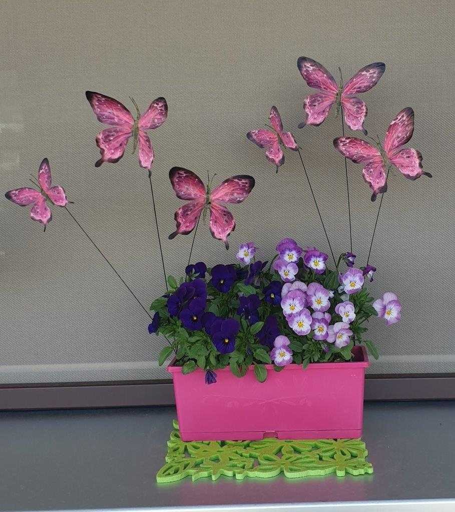 L'Aire de jeux avec Eric Verdon - RTN votre radio régionale