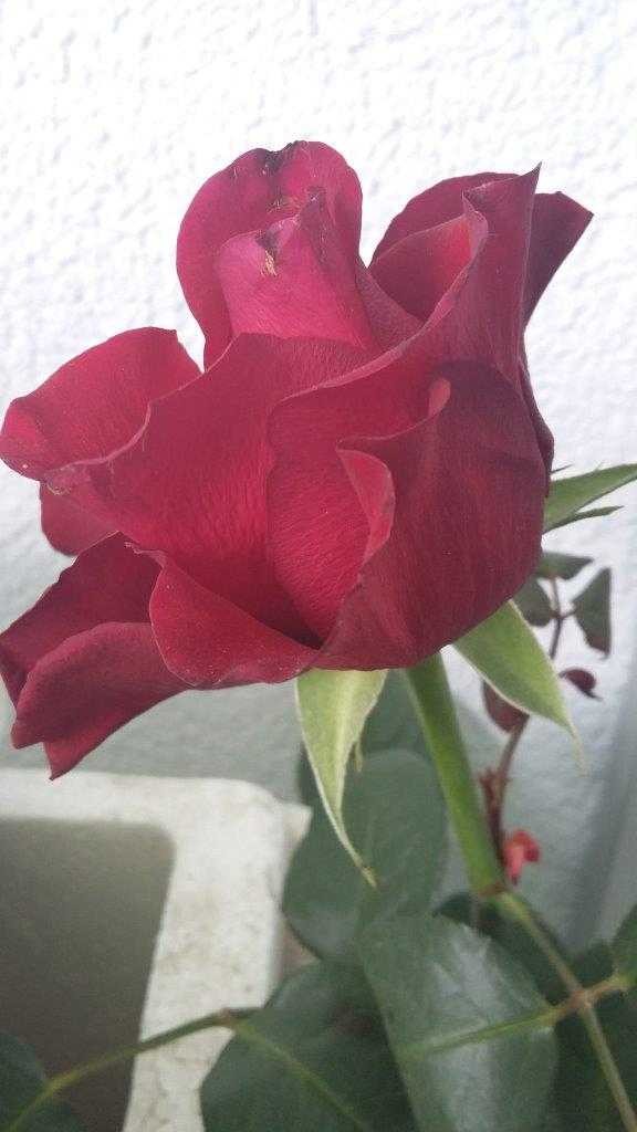 L'Aire de jeux avec Eric Verdon - RTN votre radio régionale