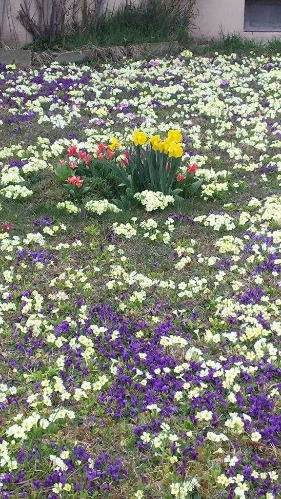 L'Aire de jeux avec Eric Verdon - RTN votre radio régionale