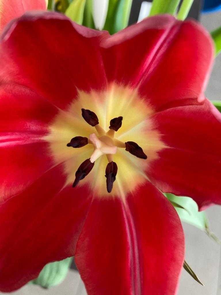 L'Aire de jeux avec Eric Verdon - RTN votre radio régionale