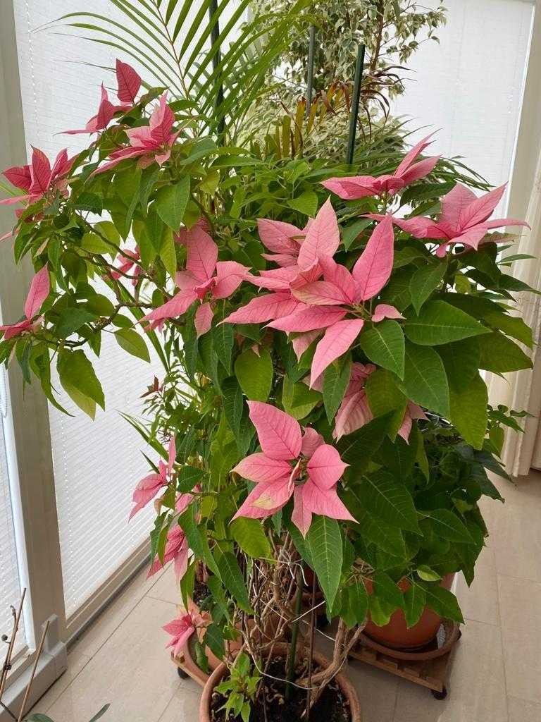 L'Aire de jeux avec Eric Verdon - RTN votre radio régionale