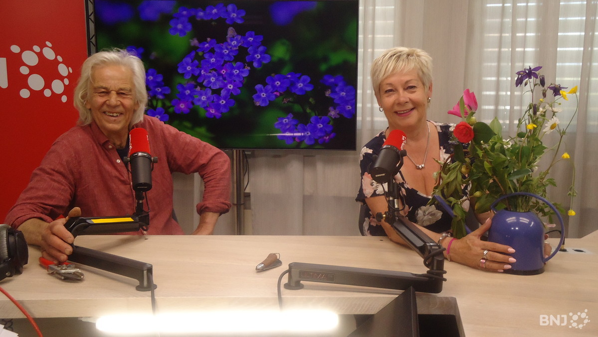 L'Aire de jeux avec Eric Verdon - RTN votre radio régionale