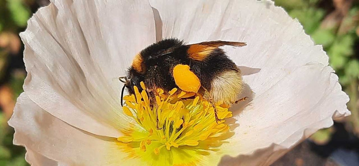 L'Aire de jeux avec Eric Verdon - RTN votre radio régionale