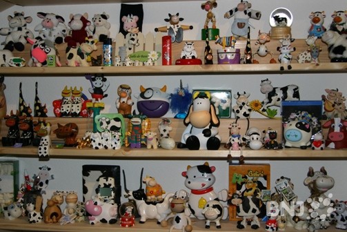 Collection de vaches dans le Jura - 27.07.09 - RFJ votre radio régionale